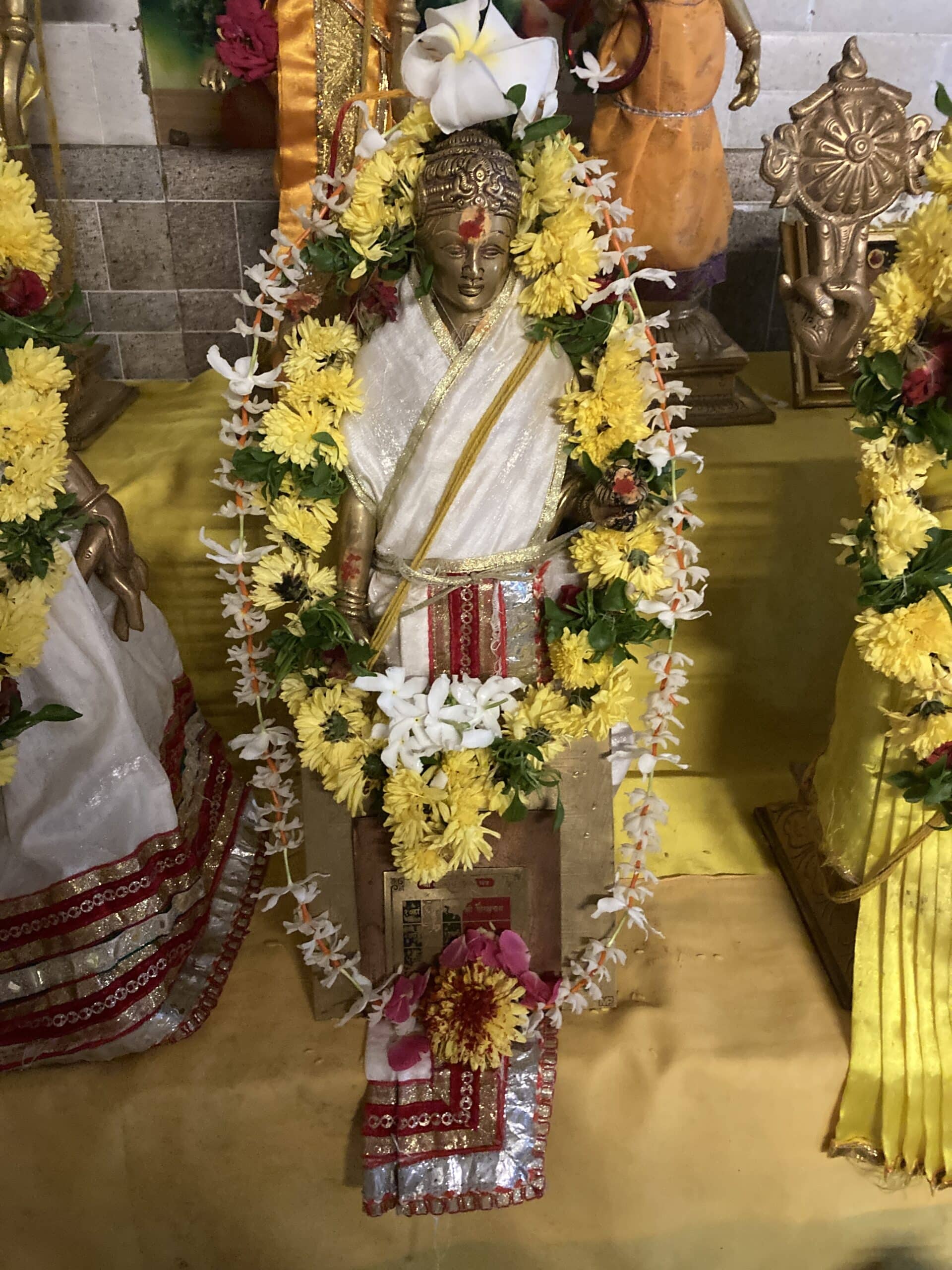 Parijata: The Flower of God | Learn | Vital Veda