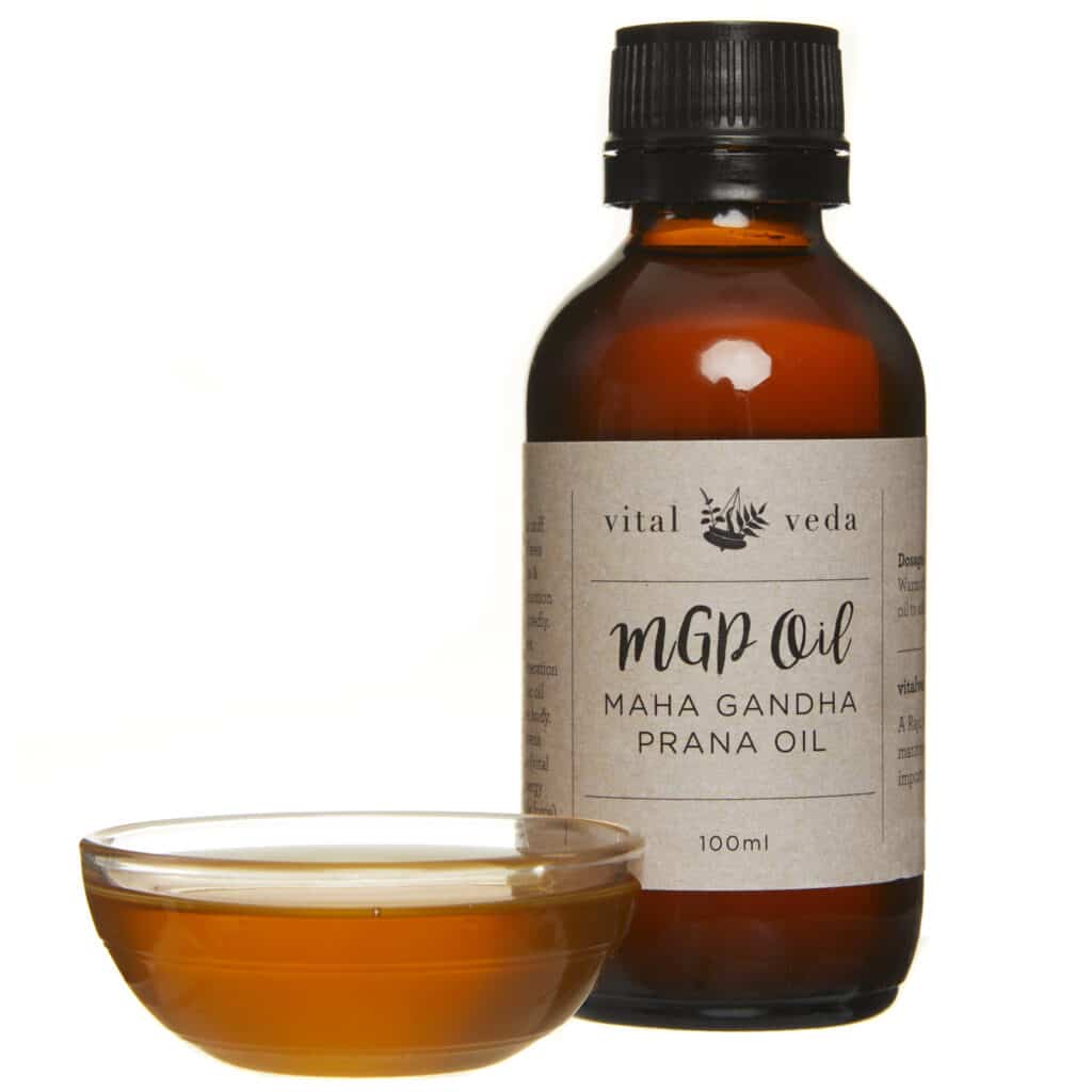 Parijata: The Flower of God | Learn | Vital Veda