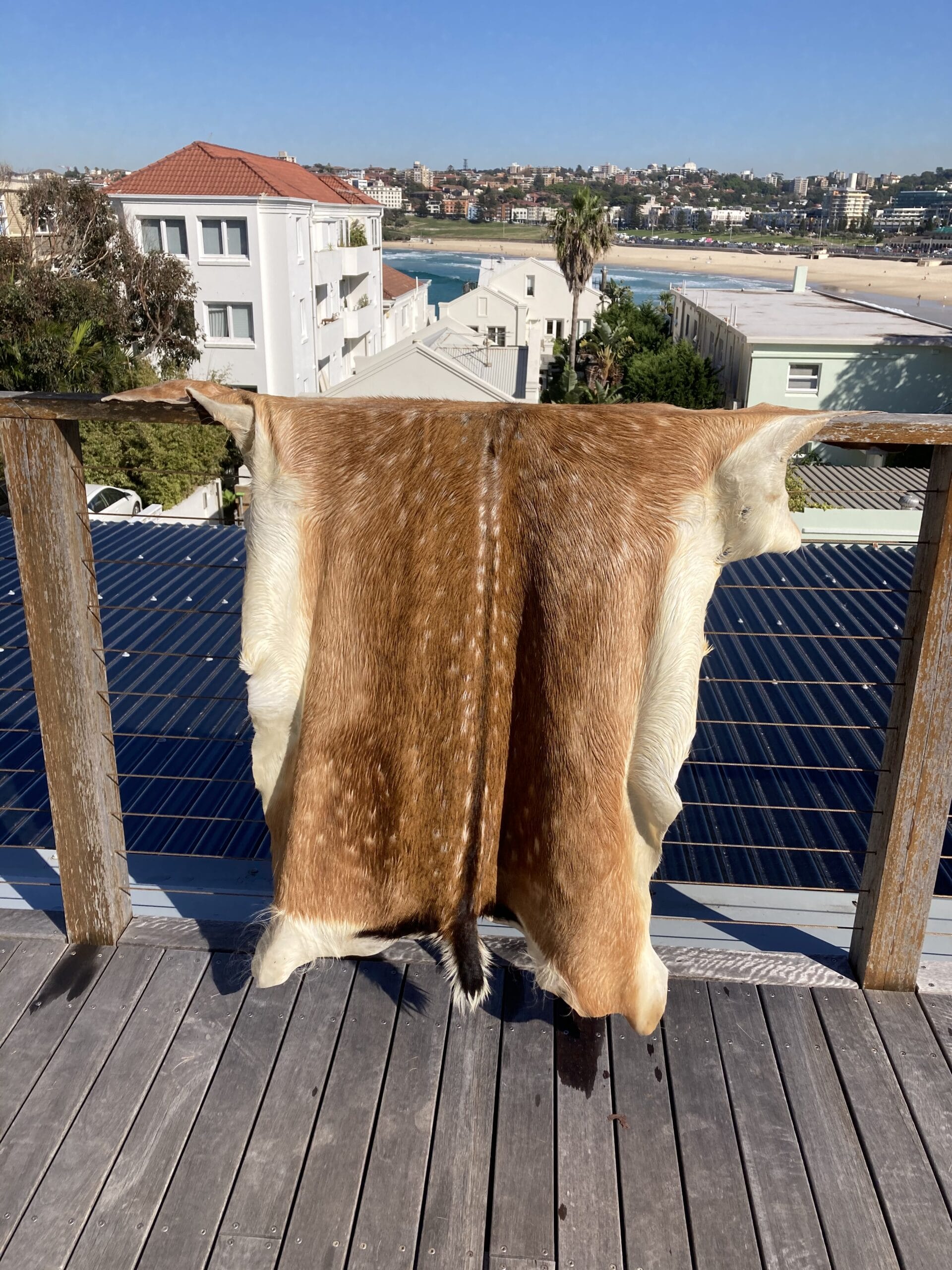 Tanning & Meditating on Deer Skin | Learn | Vital Veda