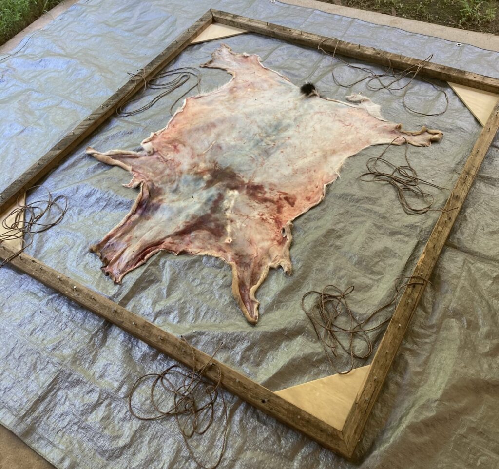 Tanning & Meditating on Deer Skin | Learn | Vital Veda