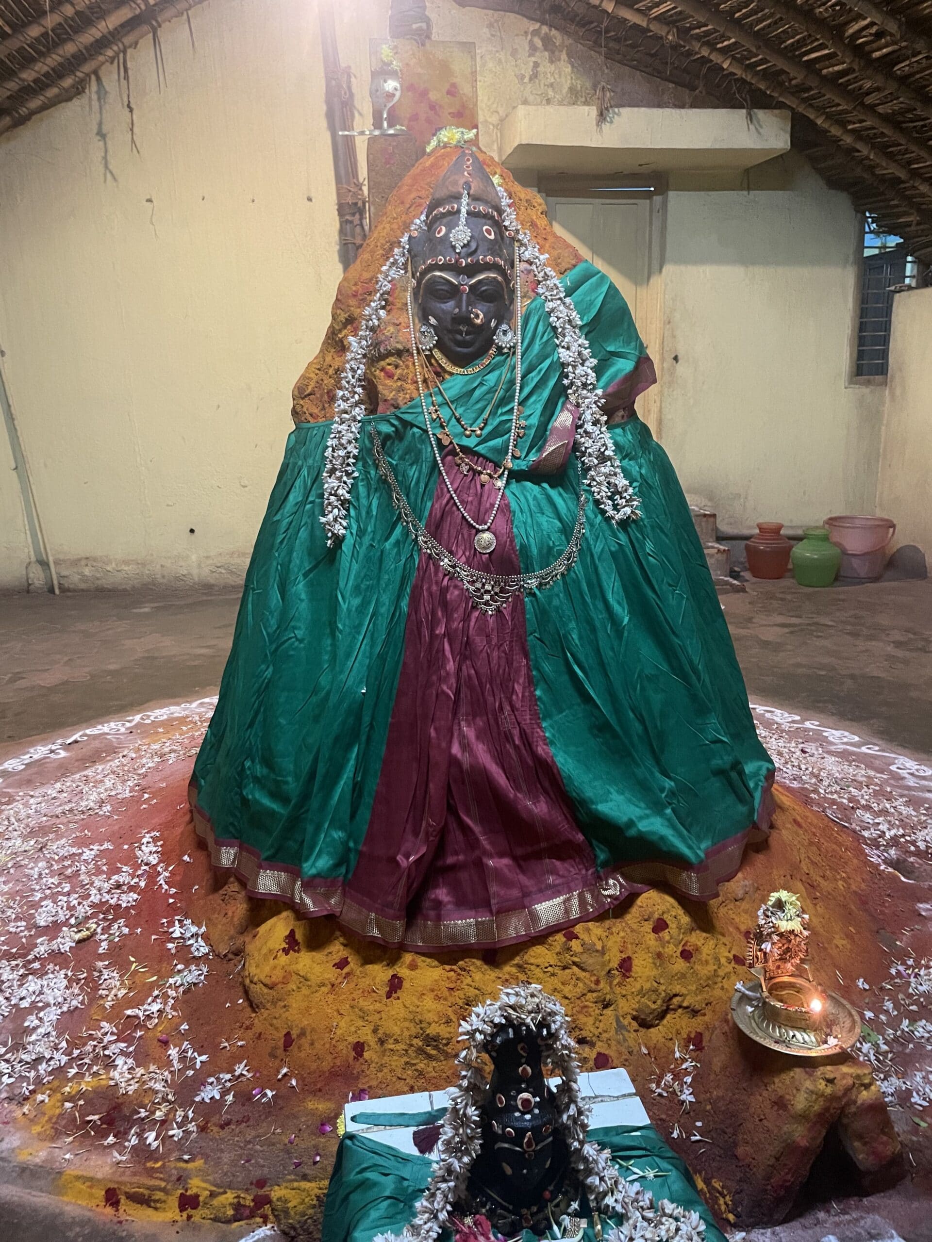 Holy Anthills: The Vedic Worldview | Vital Veda