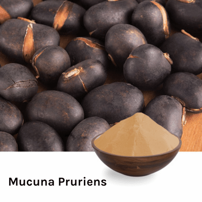 Mucuna - Vital Veda