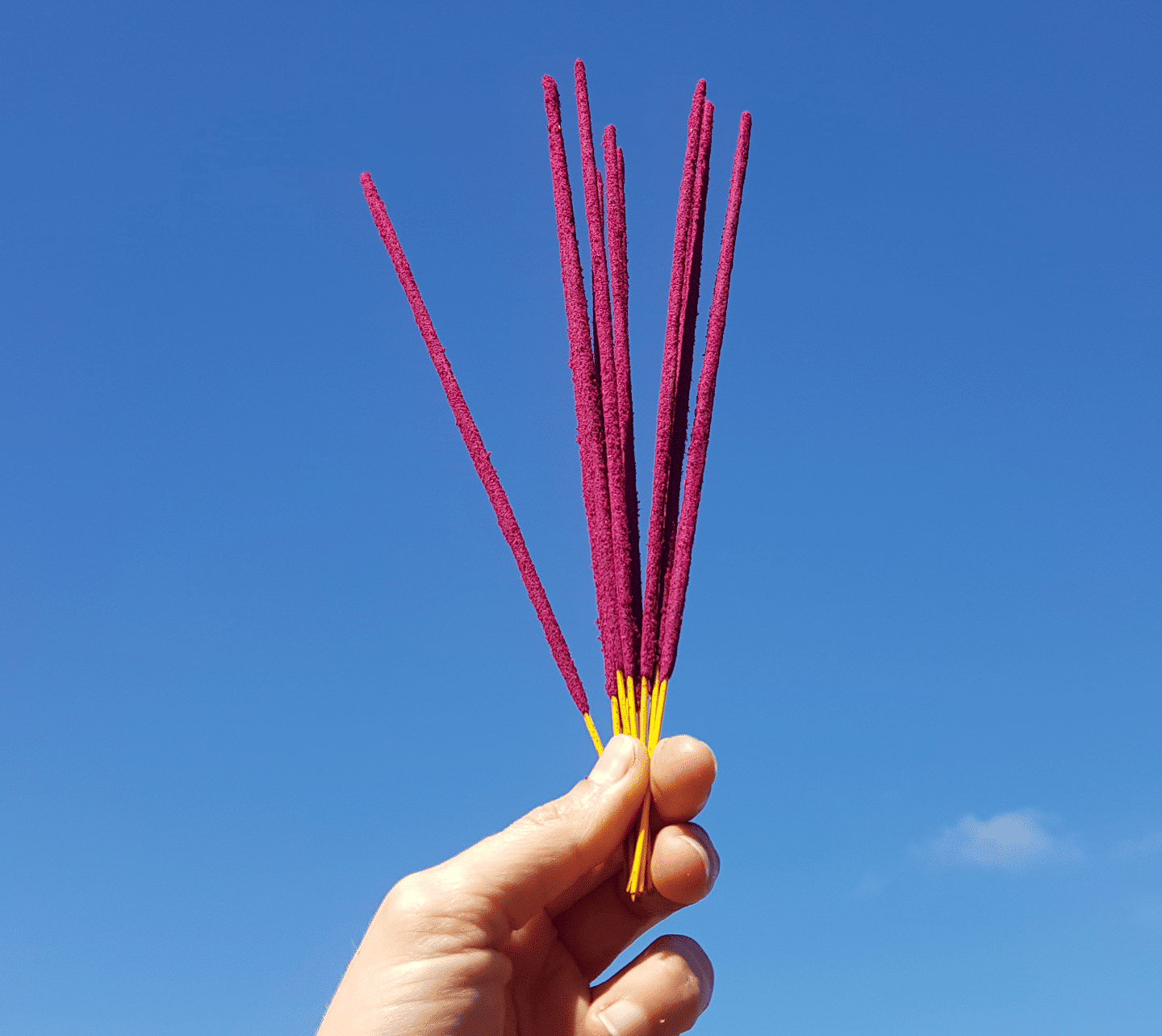 Siddha Incense Sticks (Rose) - Vital Veda